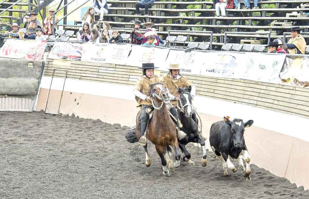 Campeonato Nacional de Rodeo Escolar “A la puerta” - Diario La Prensa